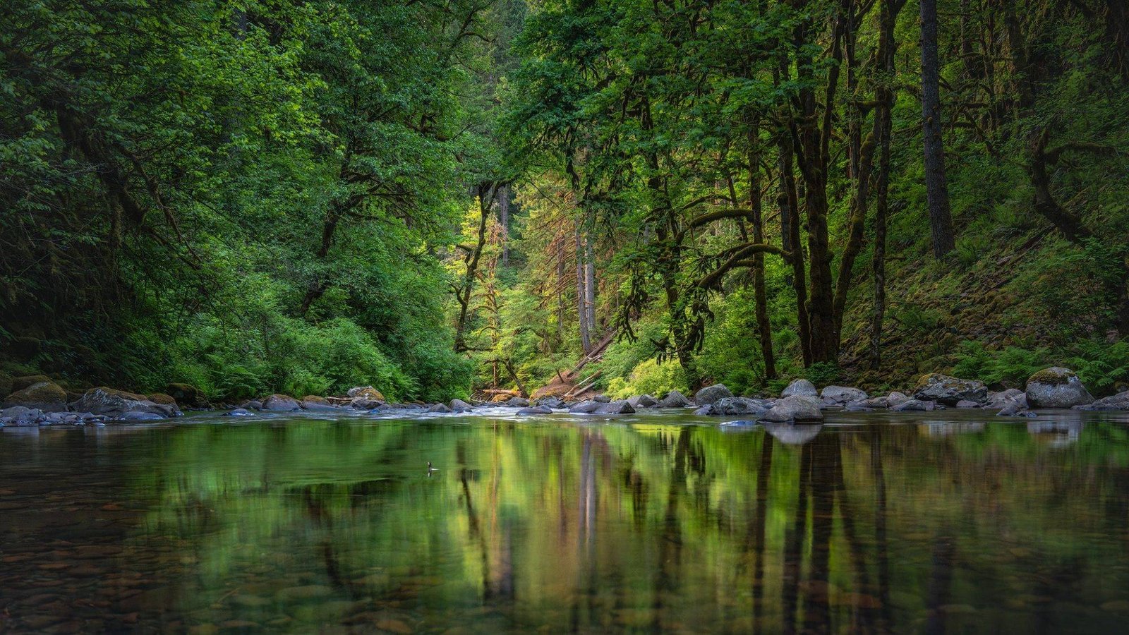 How To Photograph Waterfalls | 5 Waterfall Photography Tips