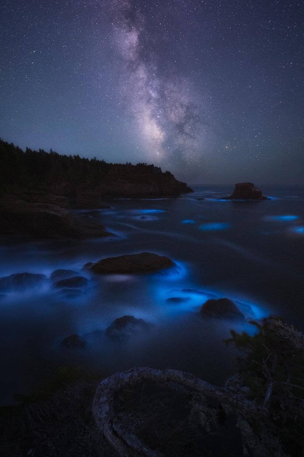 Southern Oregon Coast Photography Workshop: Summertime - Michael ...