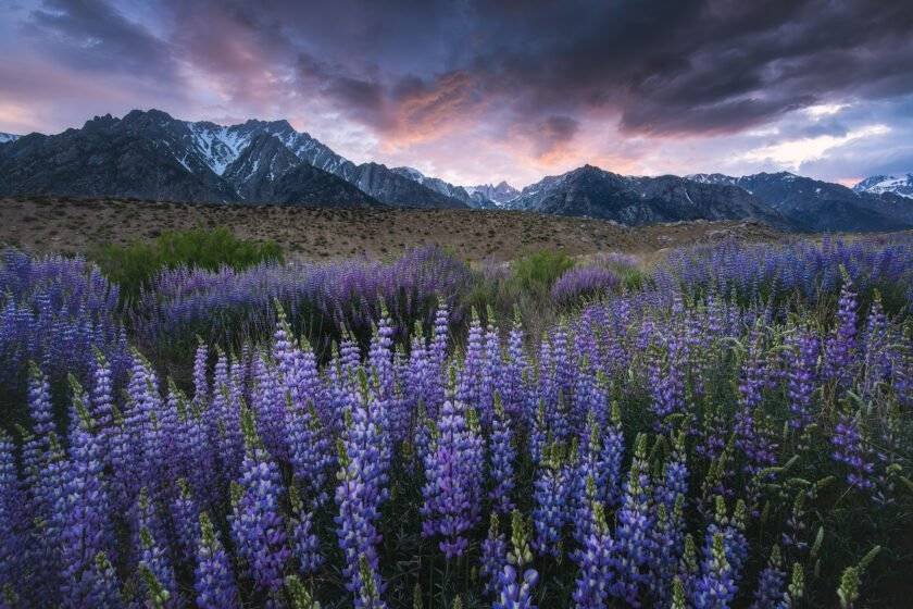 Landscape Photography & Timelapse Blog - Michael Shainblum