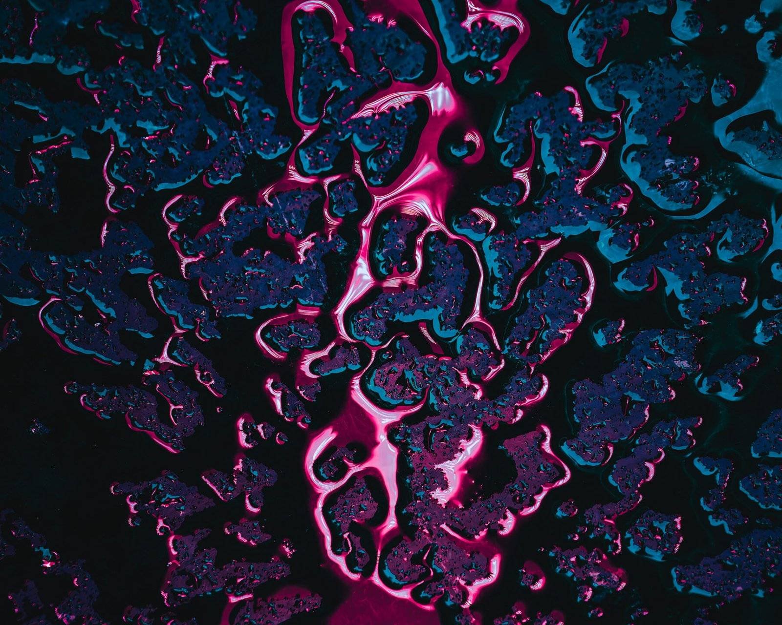 How to Grow Your Photography | My Top 10 Photos & Tips 2023